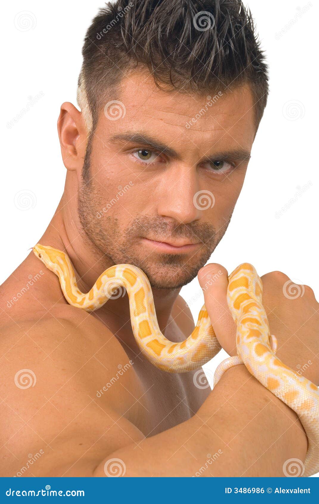 De Man En De Slang Picture. Image: 3486986