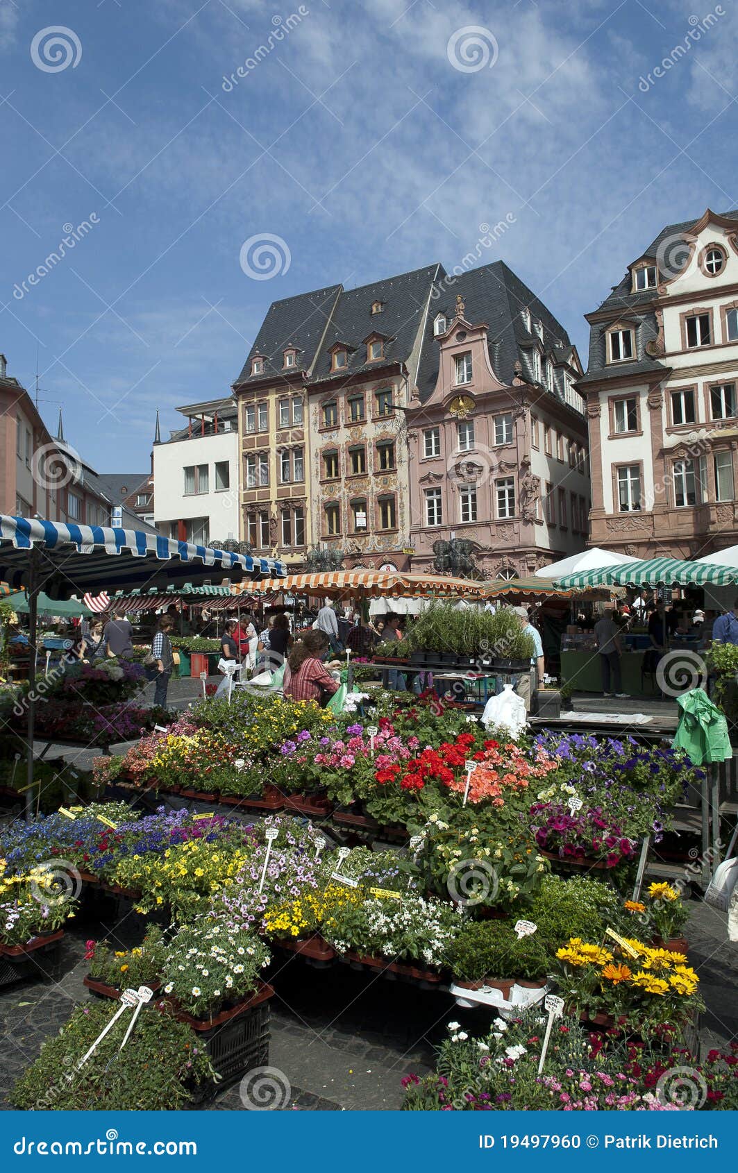 De Markt Van De Landbouwer Van MAINZ, DUITSLAND Redactionele Afbeelding ...