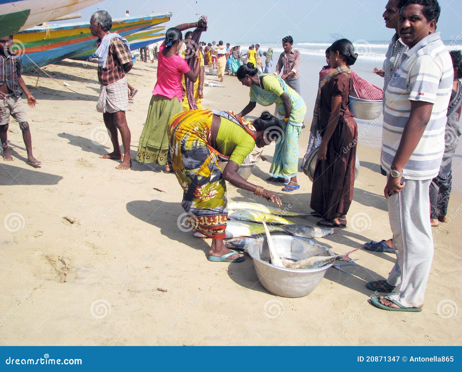 De markt van vissen redactionele fotografie. Image of visserij - 20871347