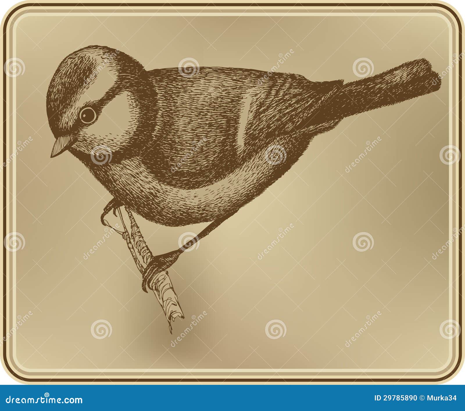 De Mees Van De Vogel, Handtekening. Vector Illustratie. Vector ...