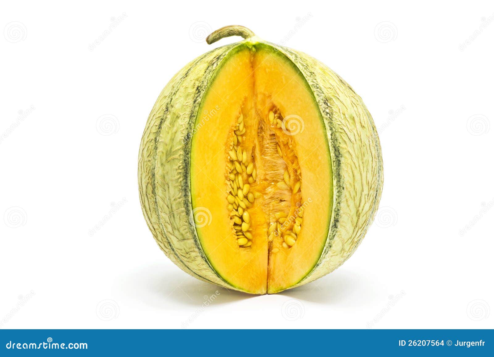 De meloen van Charentais stock foto. Image of geïsoleerd - 26207564