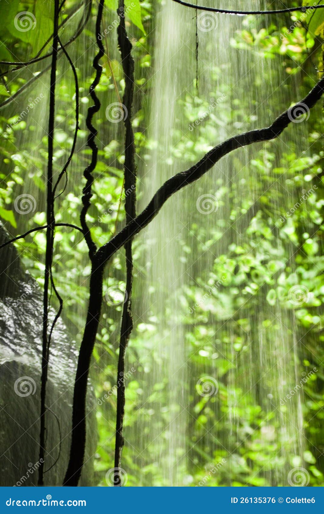 De Mening Van De Wildernis Met Dalend Water Stock Foto - Image of ...