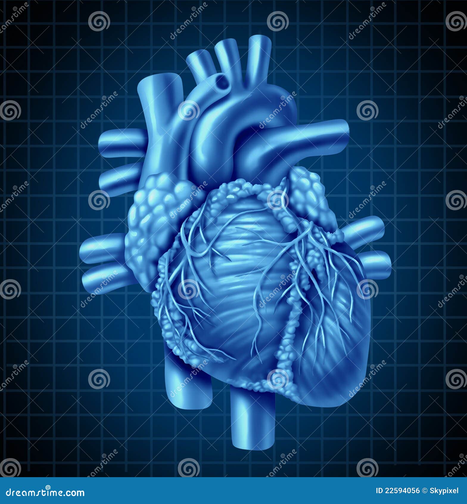 De Menselijke Anatomie Van Het Hart Stock Illustratie - Illustration of ...