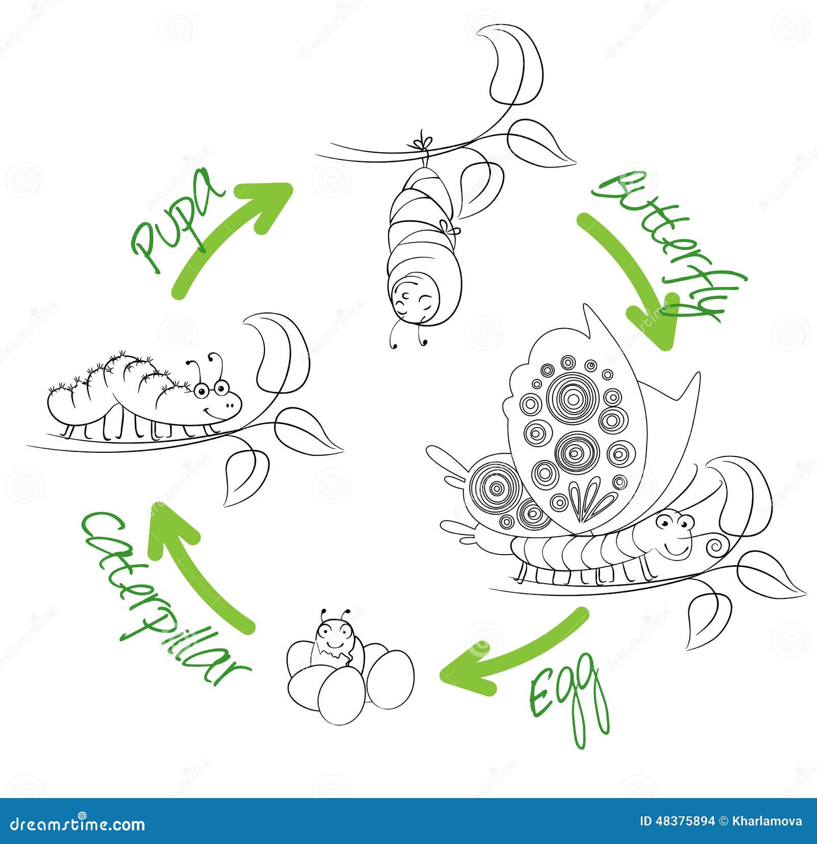 Vlinder Ei Tekening 32 Ideeën Over * VAN RUPS TOT VLINDER: