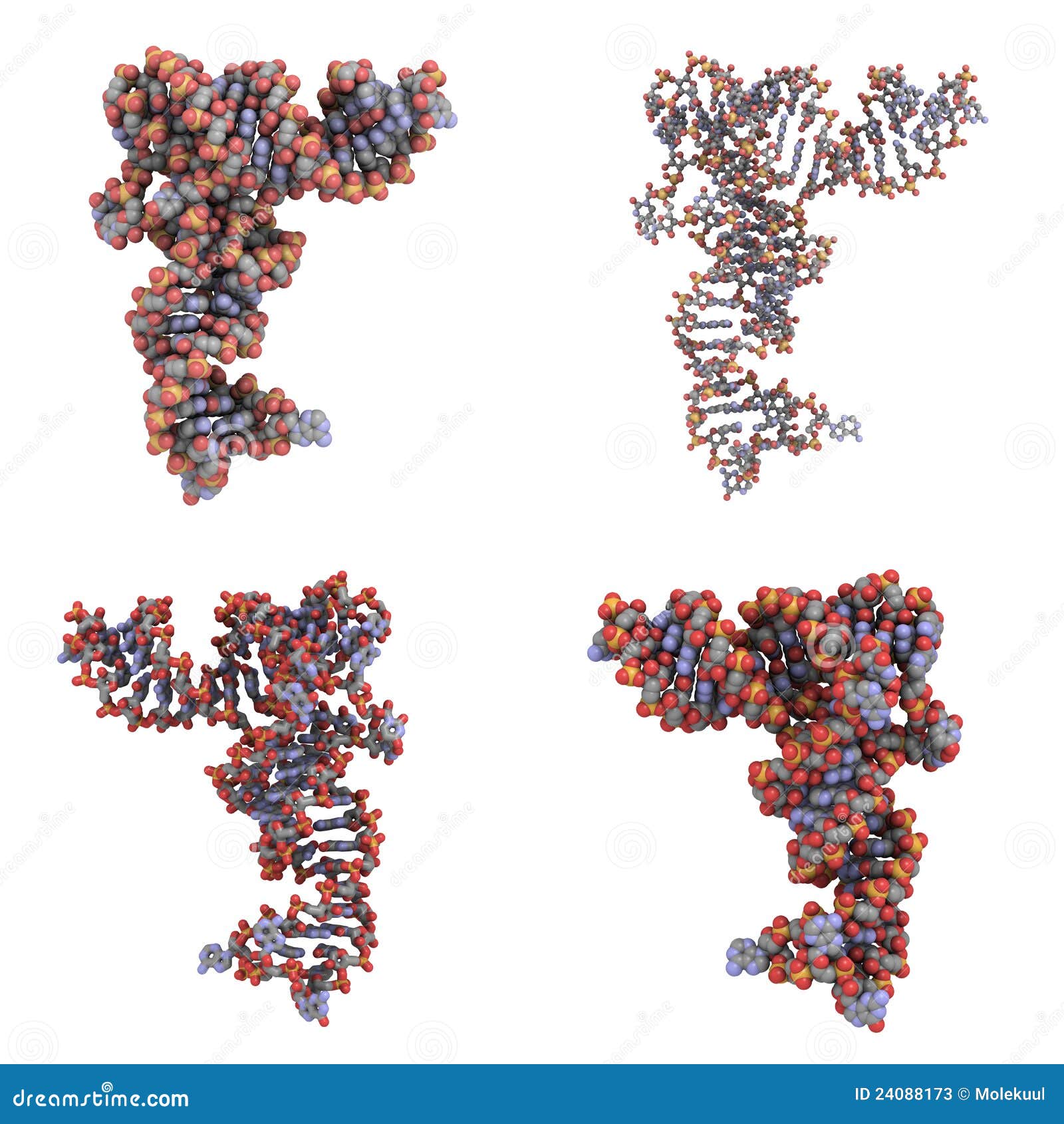 De Molecule Van De Overdracht Van RNA (tRNA) Stock Illustratie ... De Molecule Van De Overdracht Van RNA (tRNA) Stock Illustratie ...