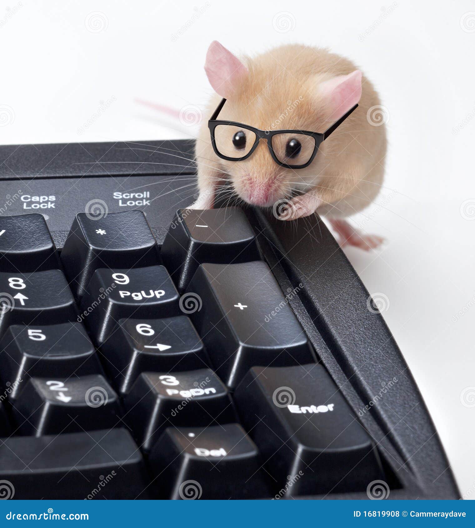 De Muis van de computer stock foto. Image of begeleiding - 16819908