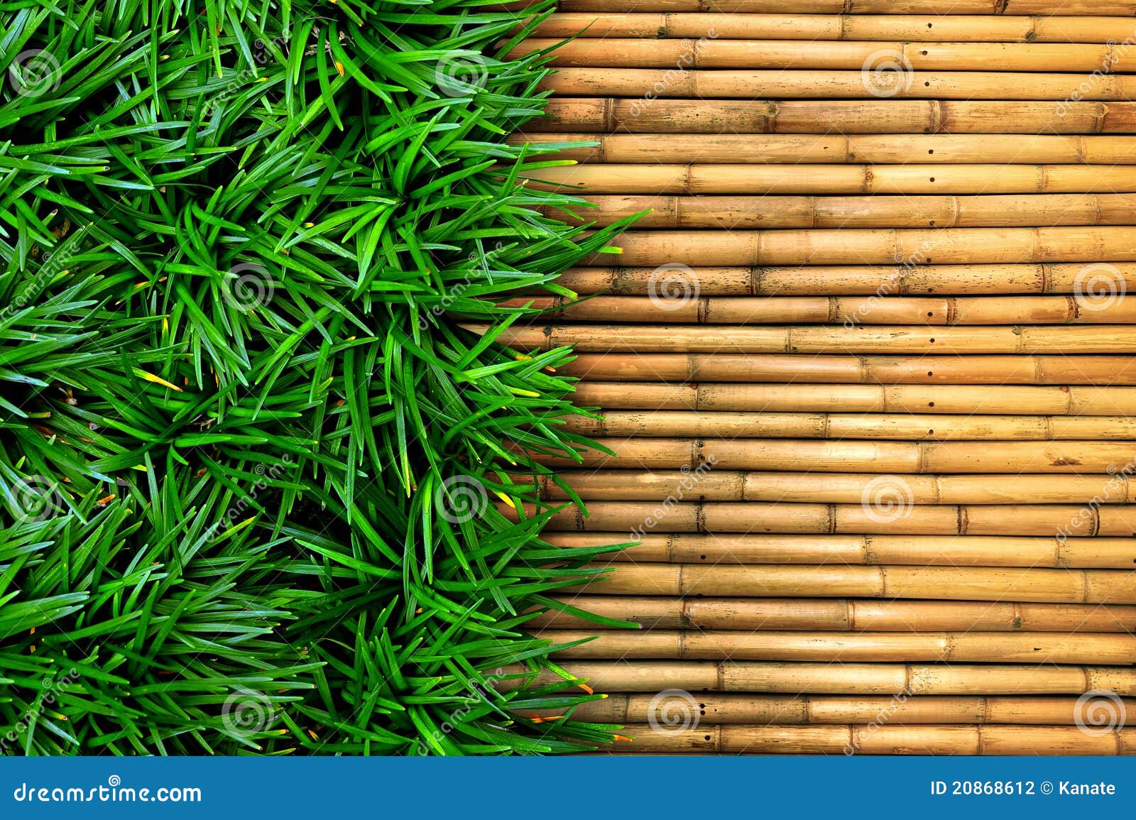 De Muur En Het Gras Van Het Bamboe Stock Foto - Image of decoratie ...