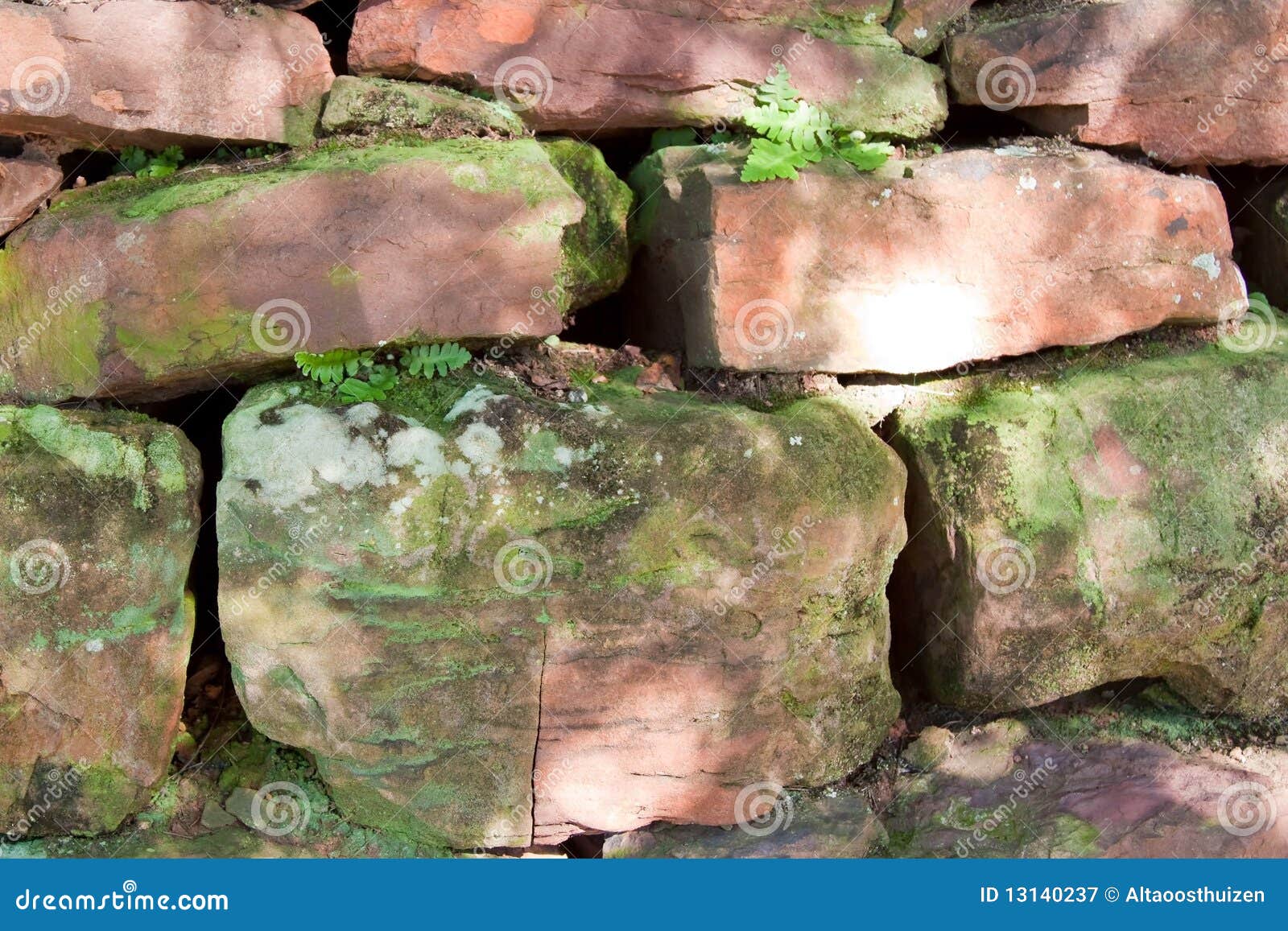 De Muur Van De Rots Met Mos En Varens Stock Afbeelding - Image of bruin ...