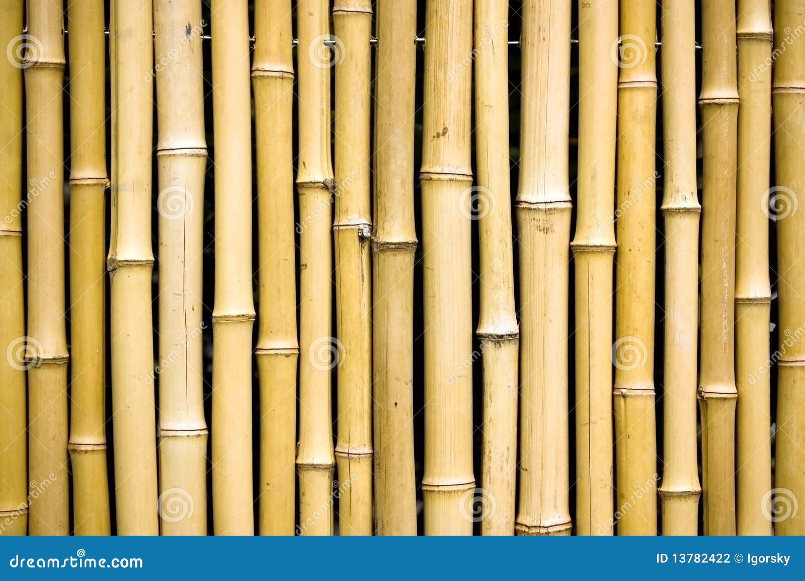 De muur van het bamboe stock foto. Image of lijn, tropisch - 13782422