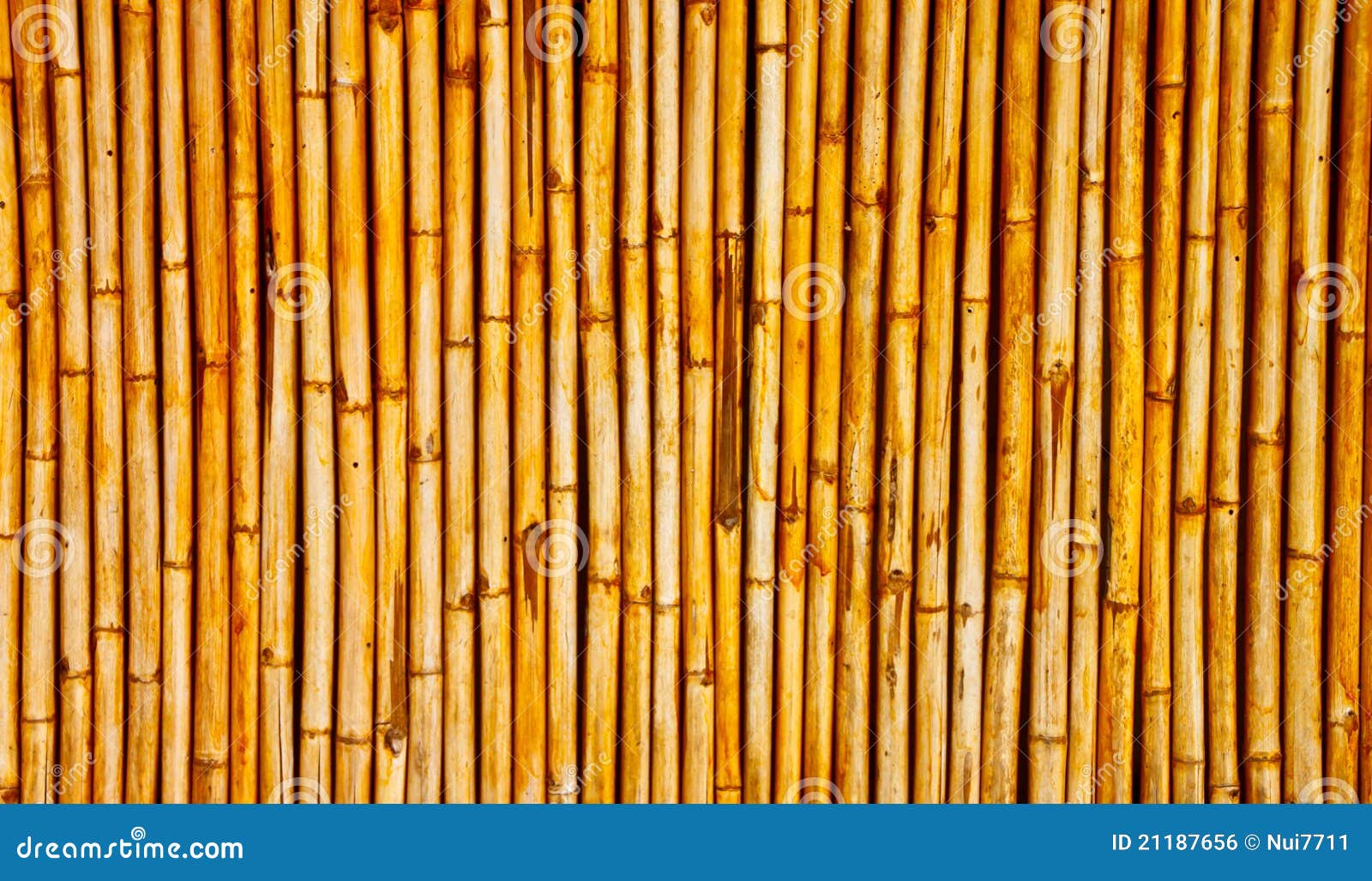 De muur van het bamboe stock foto. Image of oosters, japans - 21187656
