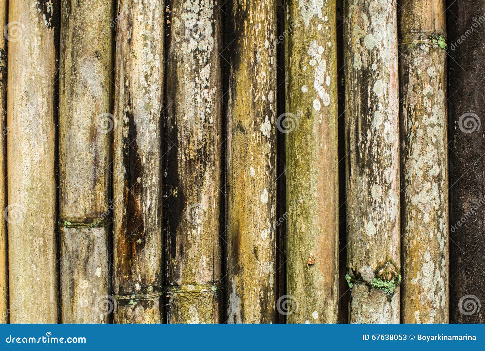 De Muur Van Het Bamboe De Textuur Van Oud Bamboe Stock Afbeelding ...