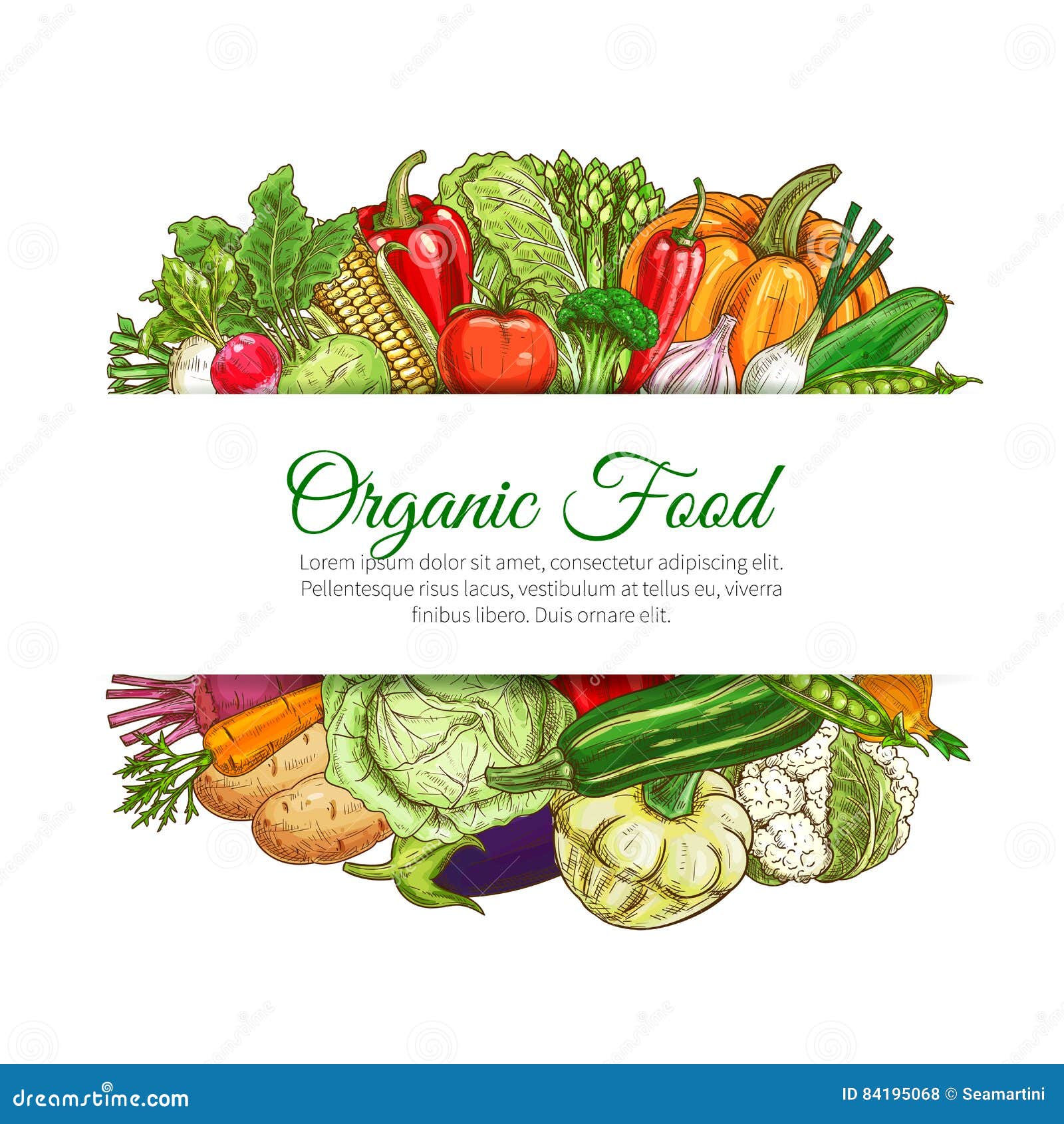 De Natuurvoedinggroenten Oogsten Vectoraffiche Vector Illustratie ...