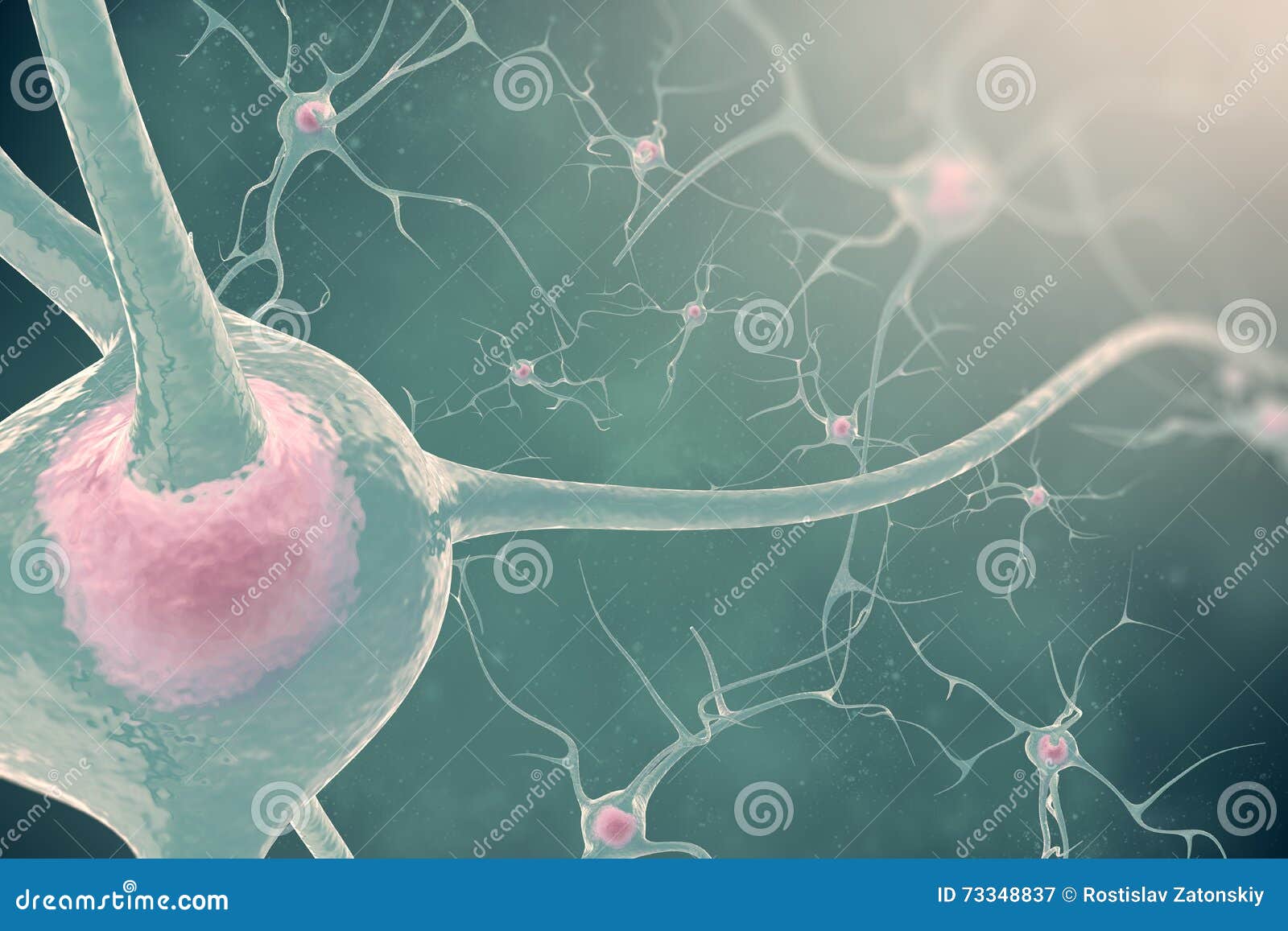 De Neuronen Van Het Zenuwstelsel Met Effect Het Vertroebelen En Het ... De Neuronen Van Het Zenuwstelsel Met Effect Het Vertroebelen En Het ...