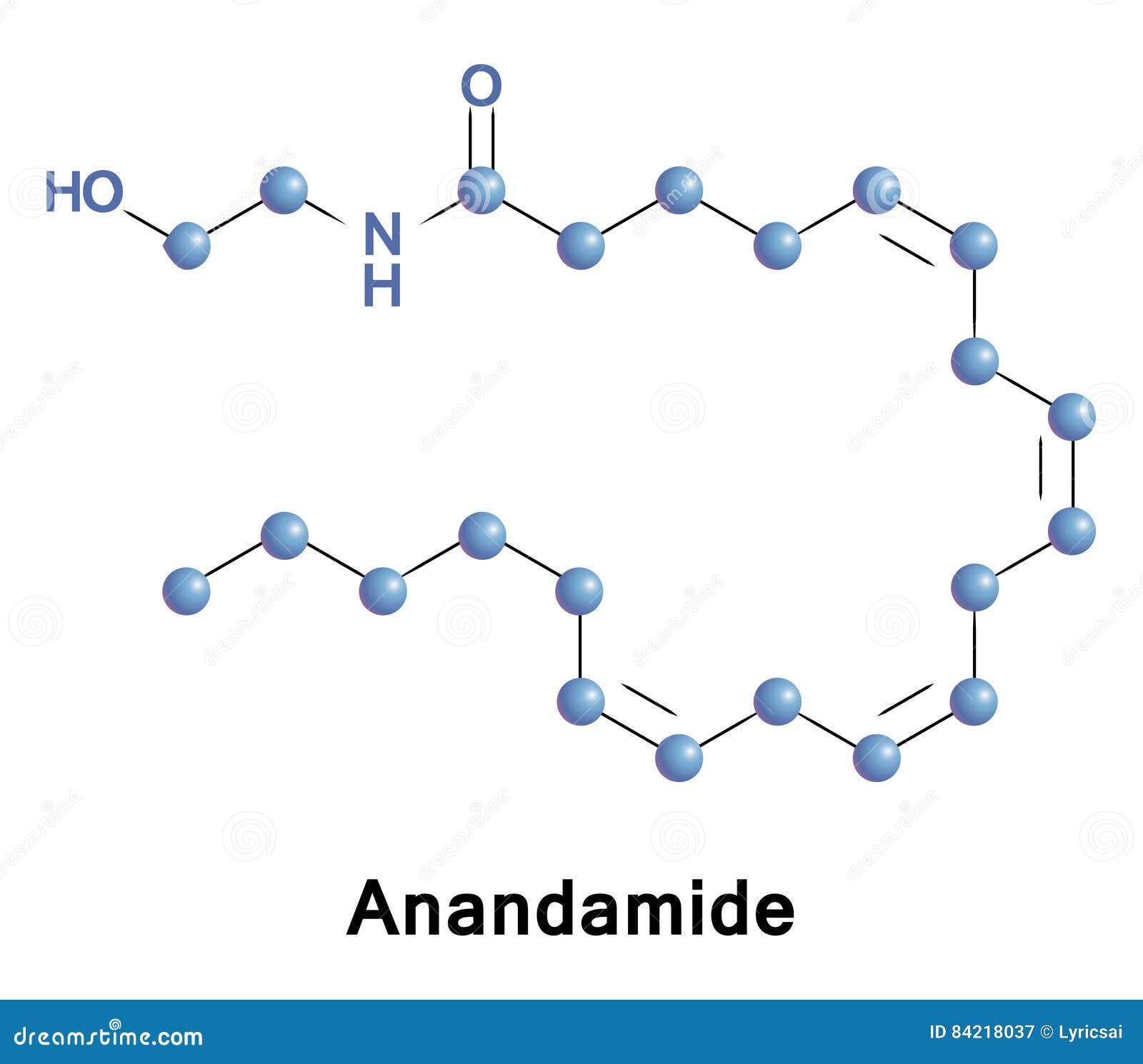 De Neurotransmitter Van Het Anandamide Vetzuur Vector Illustratie ...