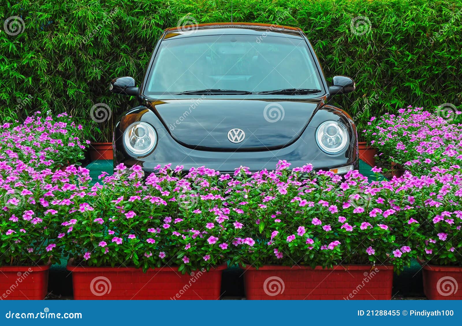 De Nieuwe Kever Van Volkswagen Redactionele Afbeelding - Image of tuin ...