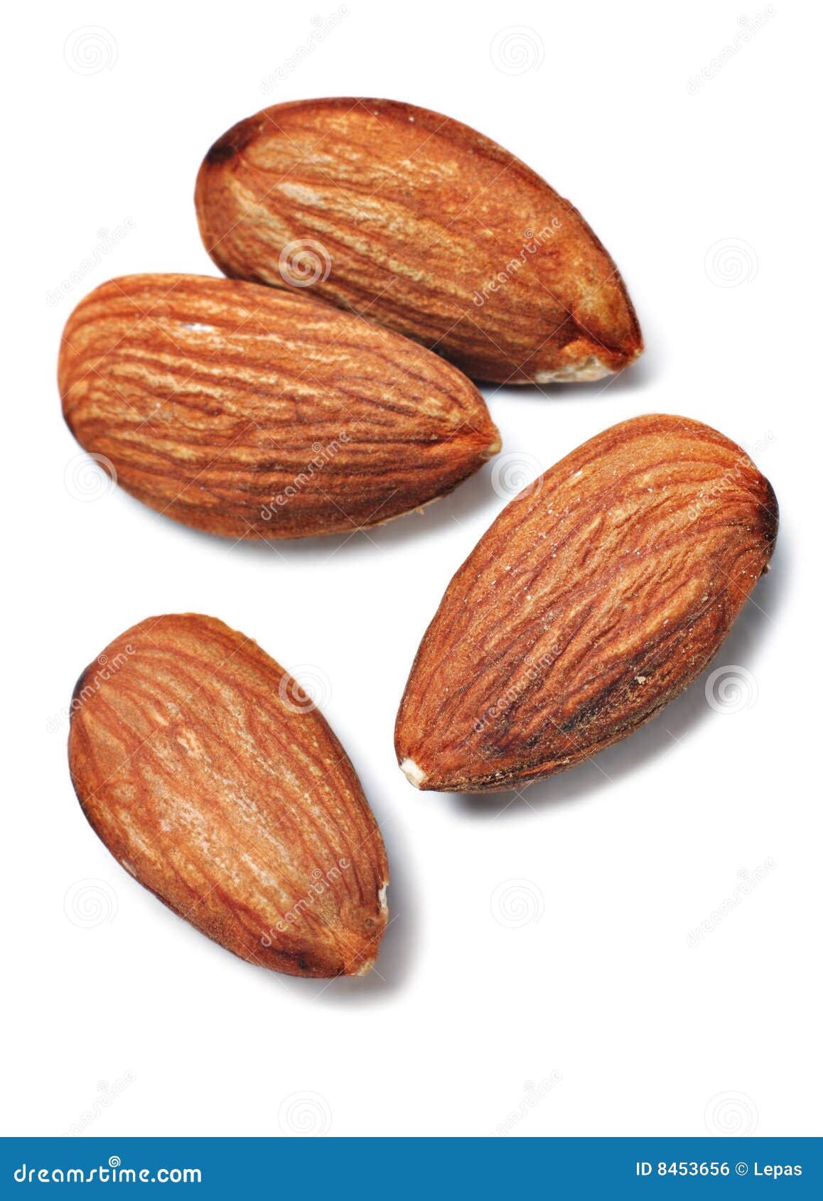 De noot van de amandel stock foto. Image of vrucht, geweven - 8453656