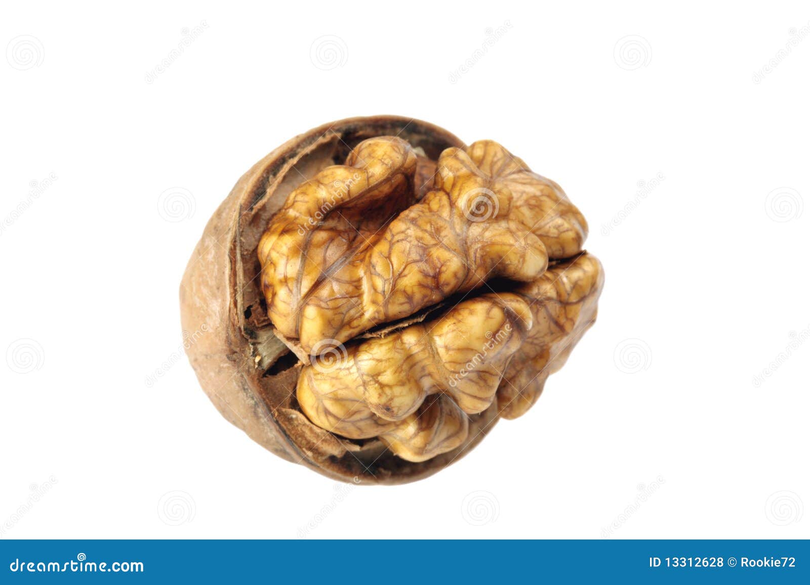 De noot van de okkernoot stock foto. Image of kruis, half - 13312628