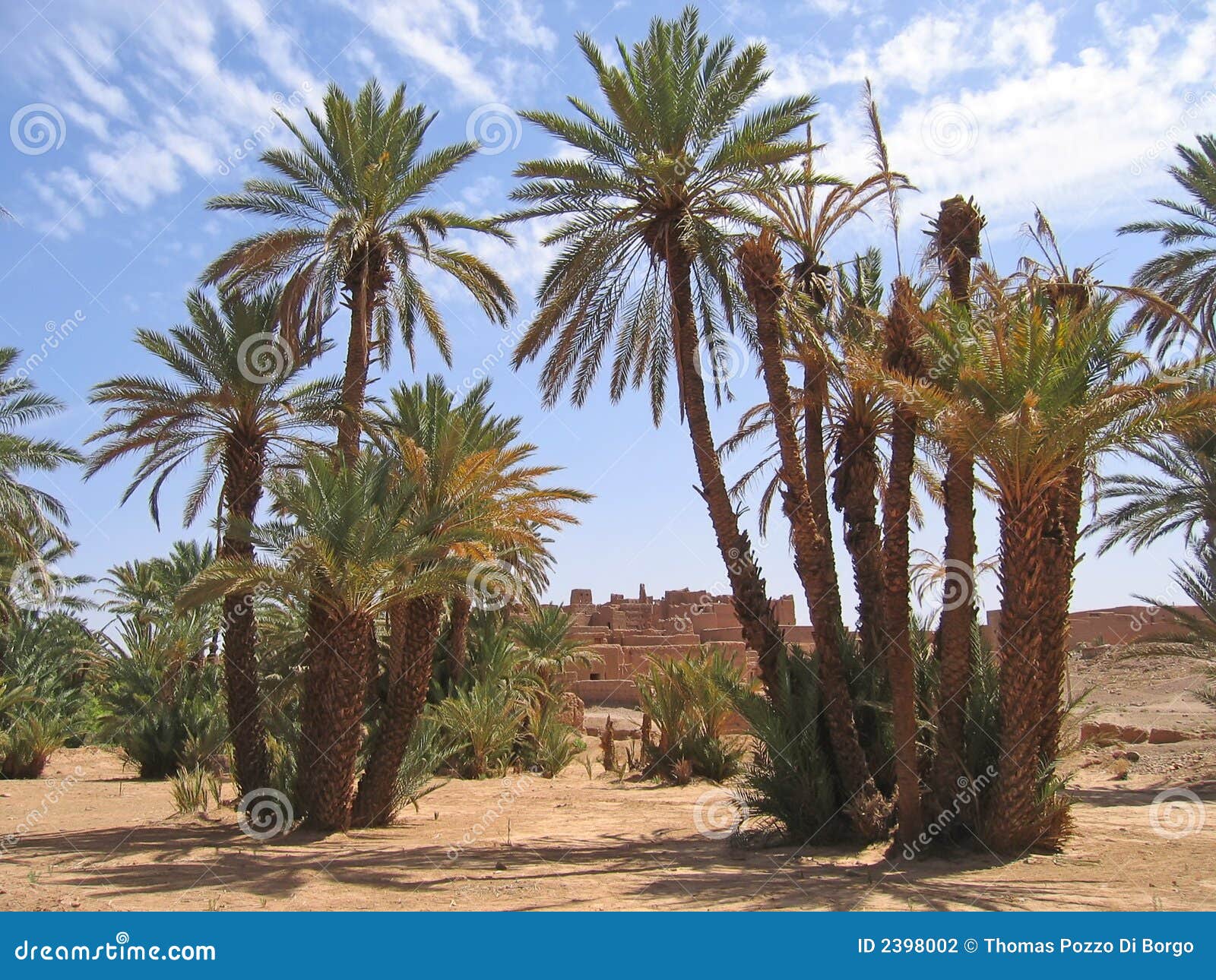 De Oase Van De Woestijn Met Palm Stock Foto - Image of arabier, blad ...