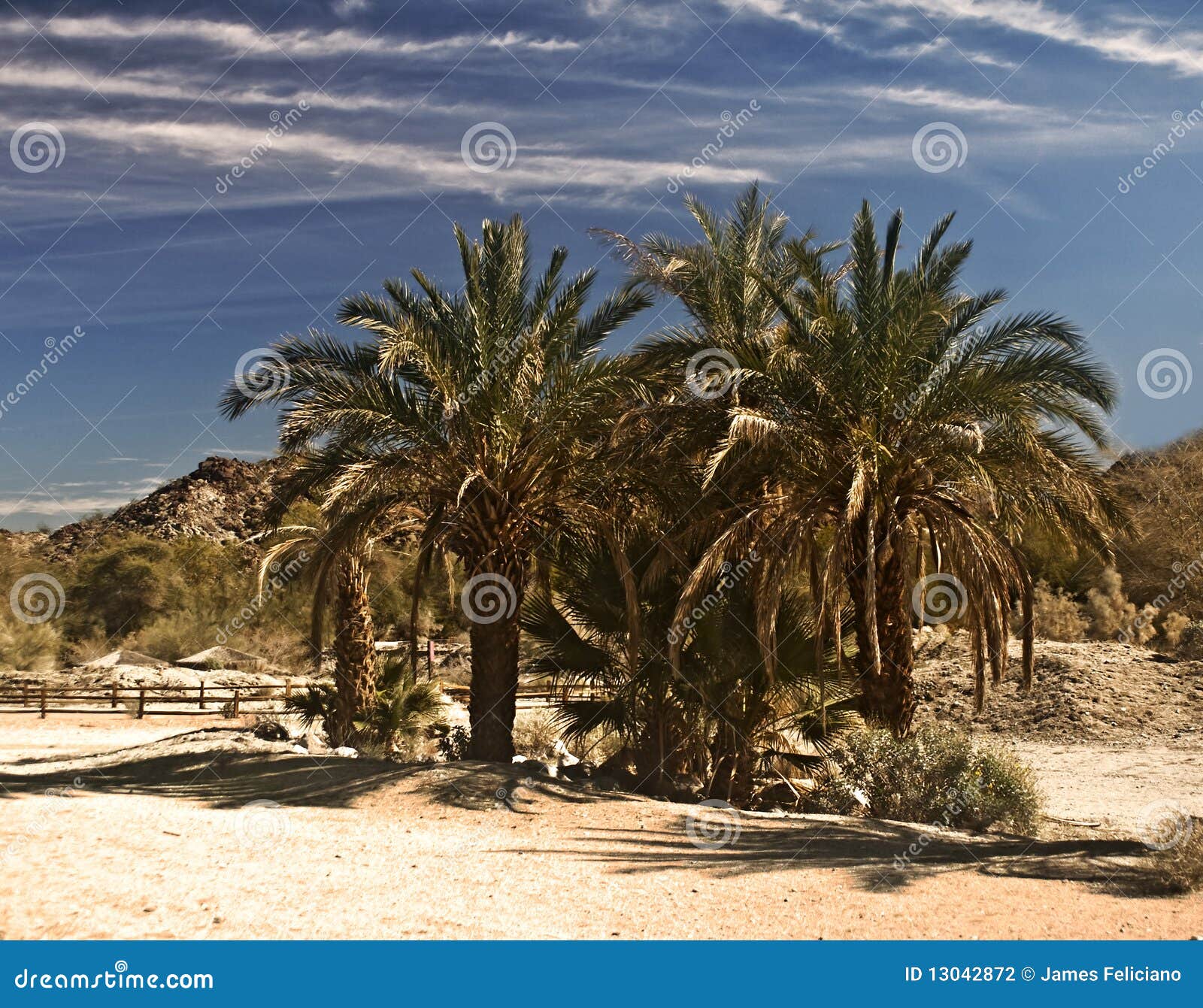 De Oase Van De Woestijn Van Mojave Stock Foto - Image of bergen ...