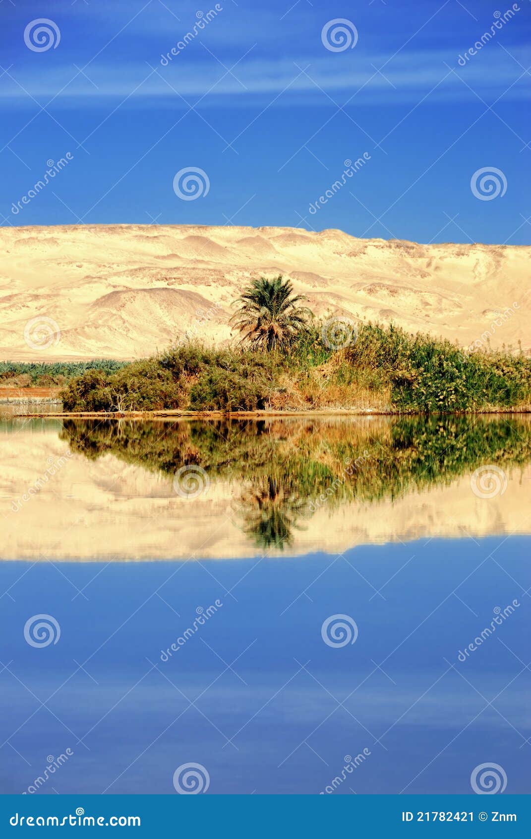 De oase van Farafra stock afbeelding. Image of woestijn - 21782421