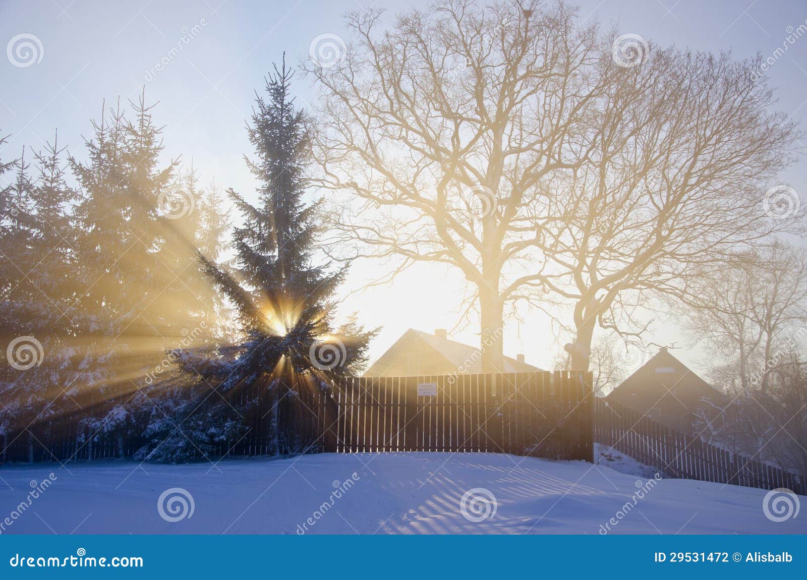De Ochtend Van De Winter in Dorp Met Zon En Mist Stock Foto - Image of ...