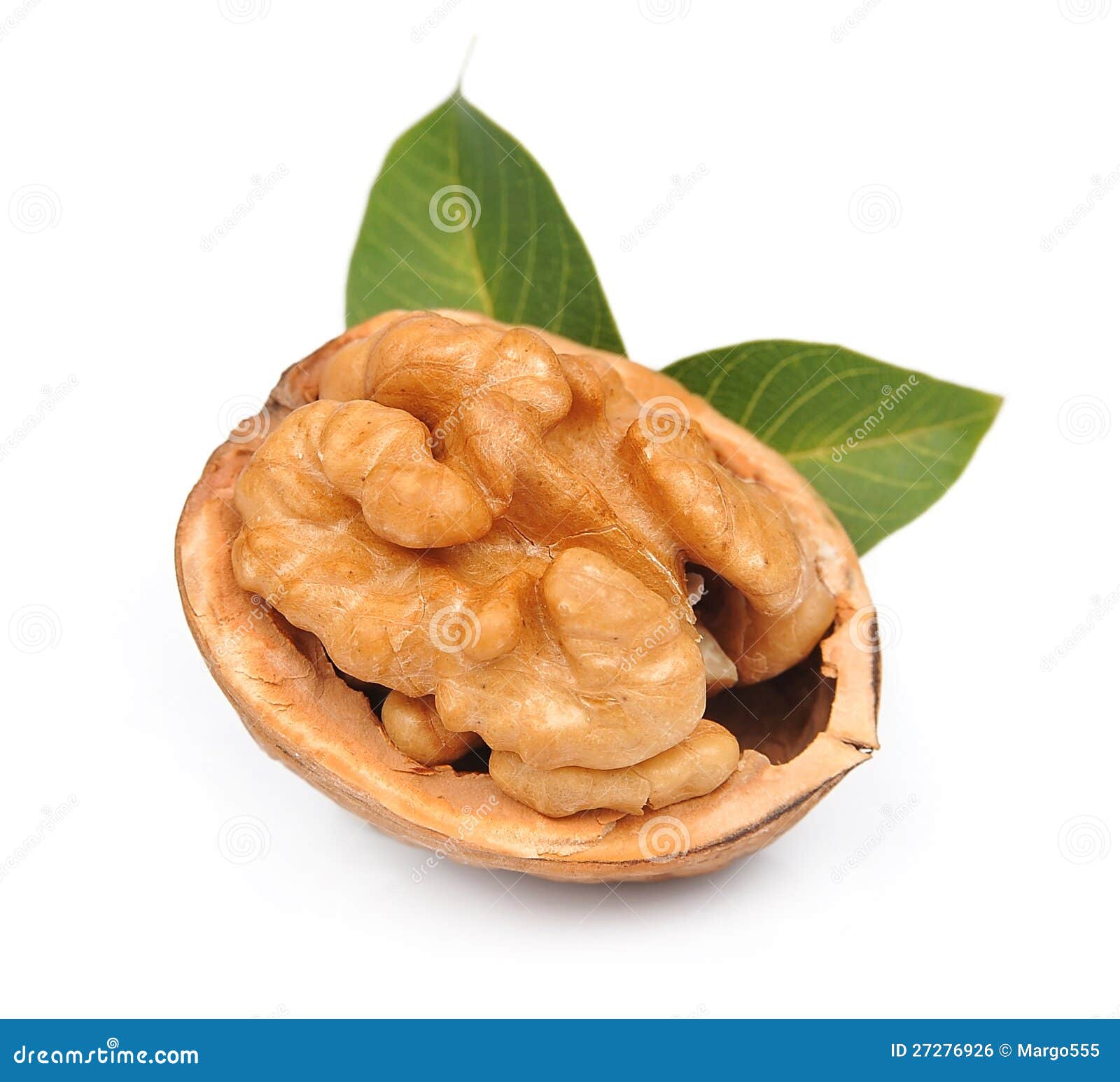 De Okkernoot Met Doorbladert Stock Foto - Image of onderbreking ...