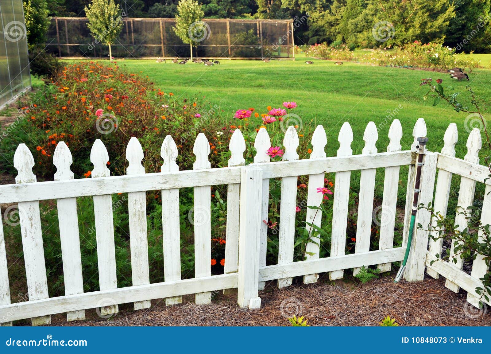 De omheining van de tuin stock afbeelding. Image of bloei - 10848073