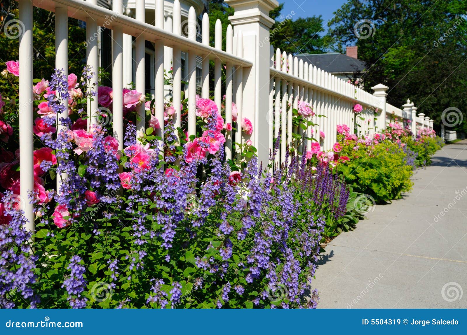 De omheining van de tuin stock afbeelding. Image of wijk - 5504319