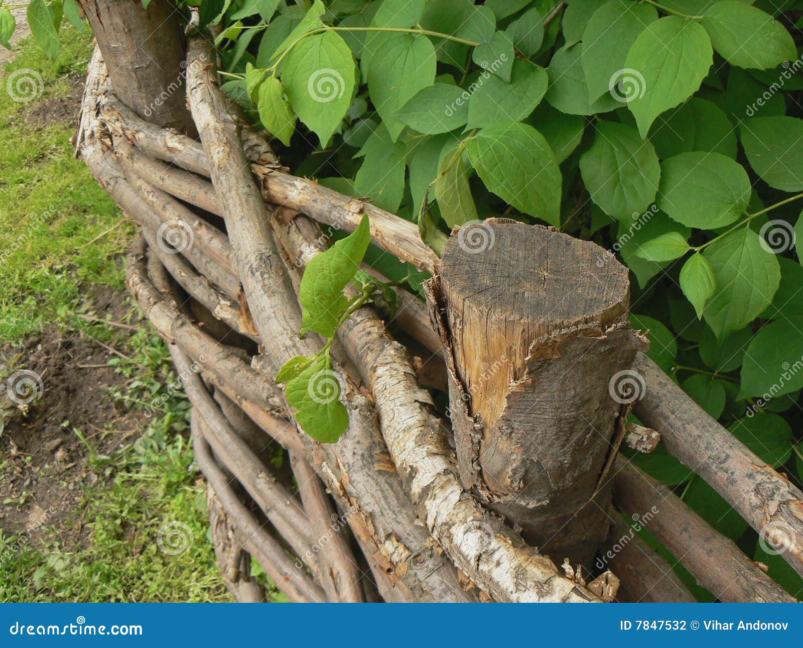 De omheining van de tuin stock foto. Image of groen, landschap - 7847532