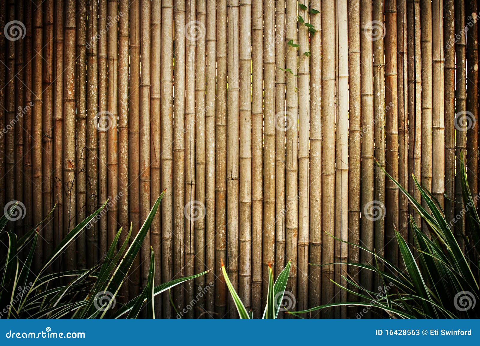 De Omheining Van Het Bamboe Stock Afbeelding - Image of achtergrond ...