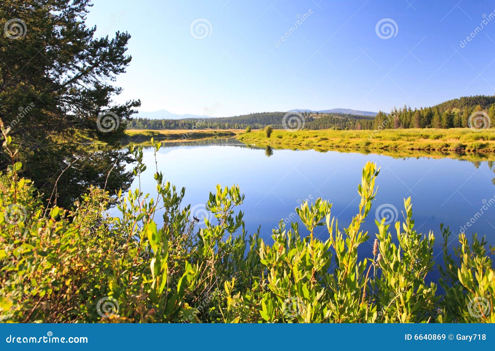 De Opkomst Van De Kromming Oxbow in Grand Teton Stock Afbeelding ...