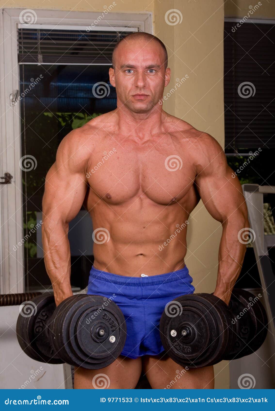 De Opleiding Van De Bodybuilder Stock Afbeelding - Image of stel, spier ...