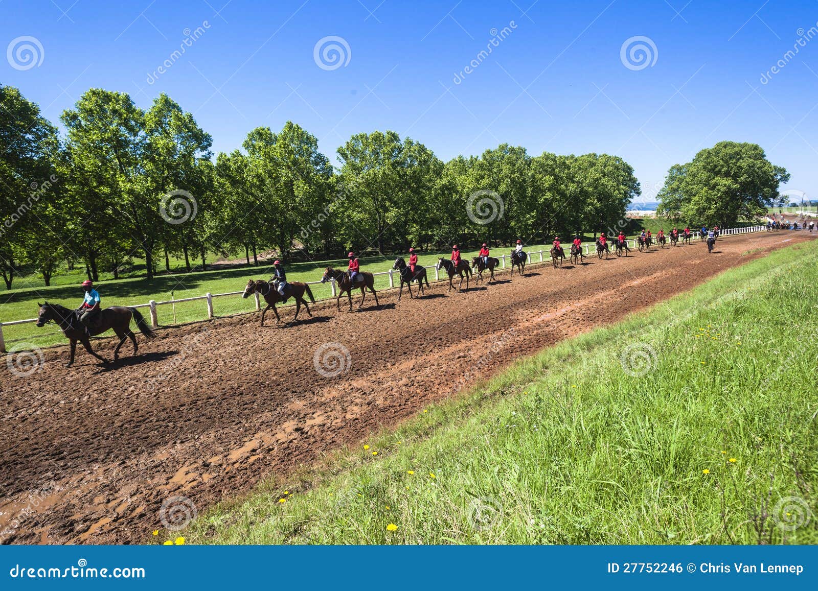 De Opleiding Van De Bruidegoms Van De Paarden Van Het Ras Redactionele ...