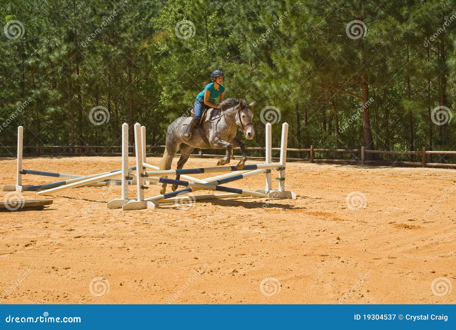 De Opleiding Van Het Paard En Van De Ruiter Stock Afbeelding - Image of ...