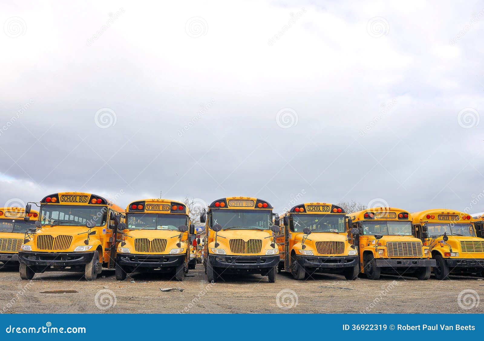 De Opstelling Van De Schoolbus Redactionele Stock Afbeelding - Image of ...