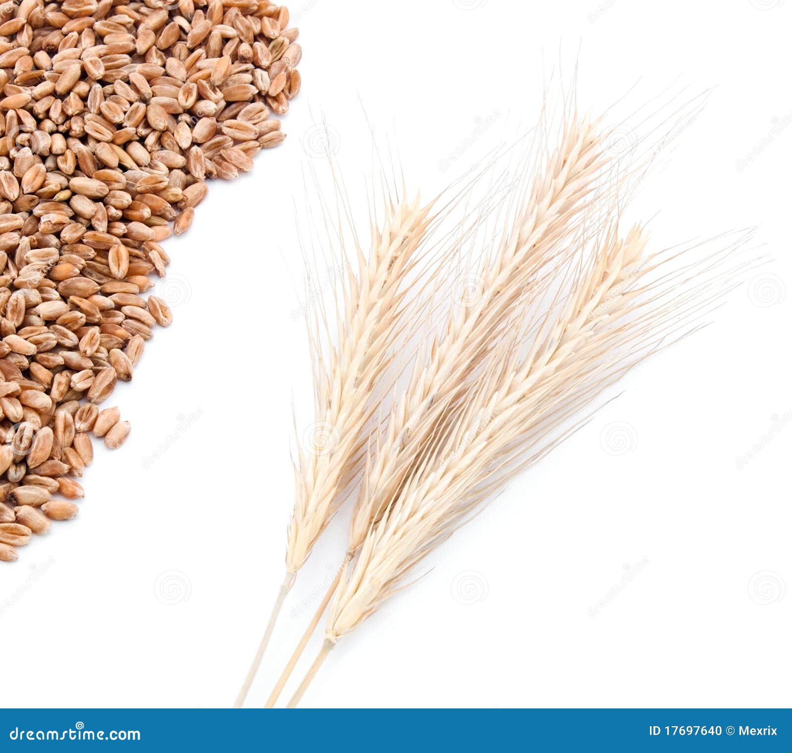 De Oren Van De Tarwe En Tarwekorrels Stock Foto - Image of gewas, oogst ...