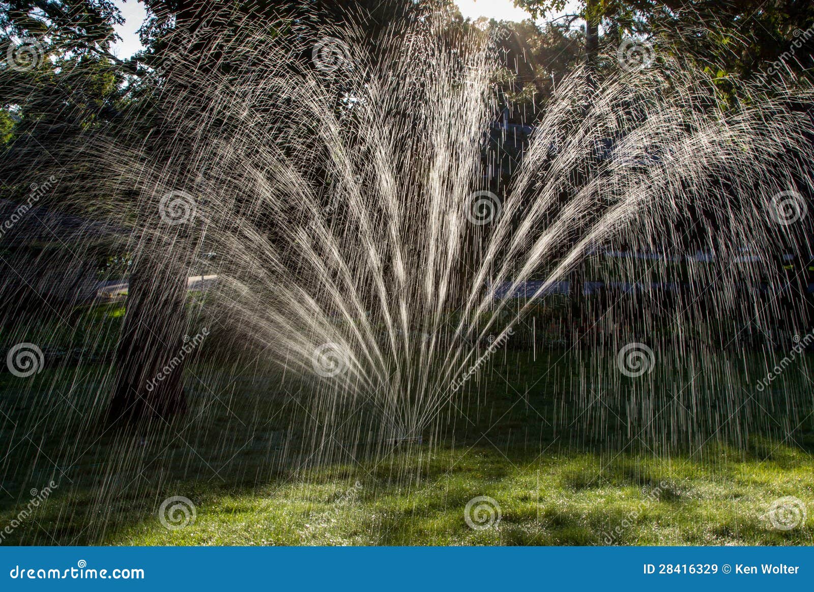 De Oscillerende Sproeier Van Het Gazon Stock Afbeelding - Image of ...