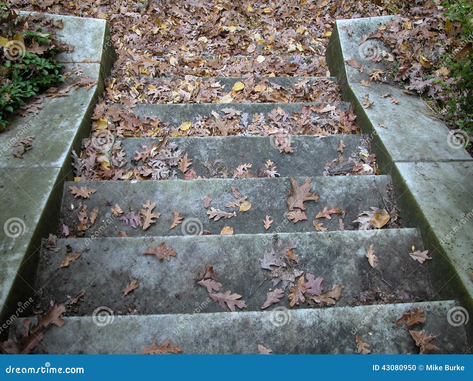 De oude Trap van de Steen stock foto. Image of bladeren - 43080950