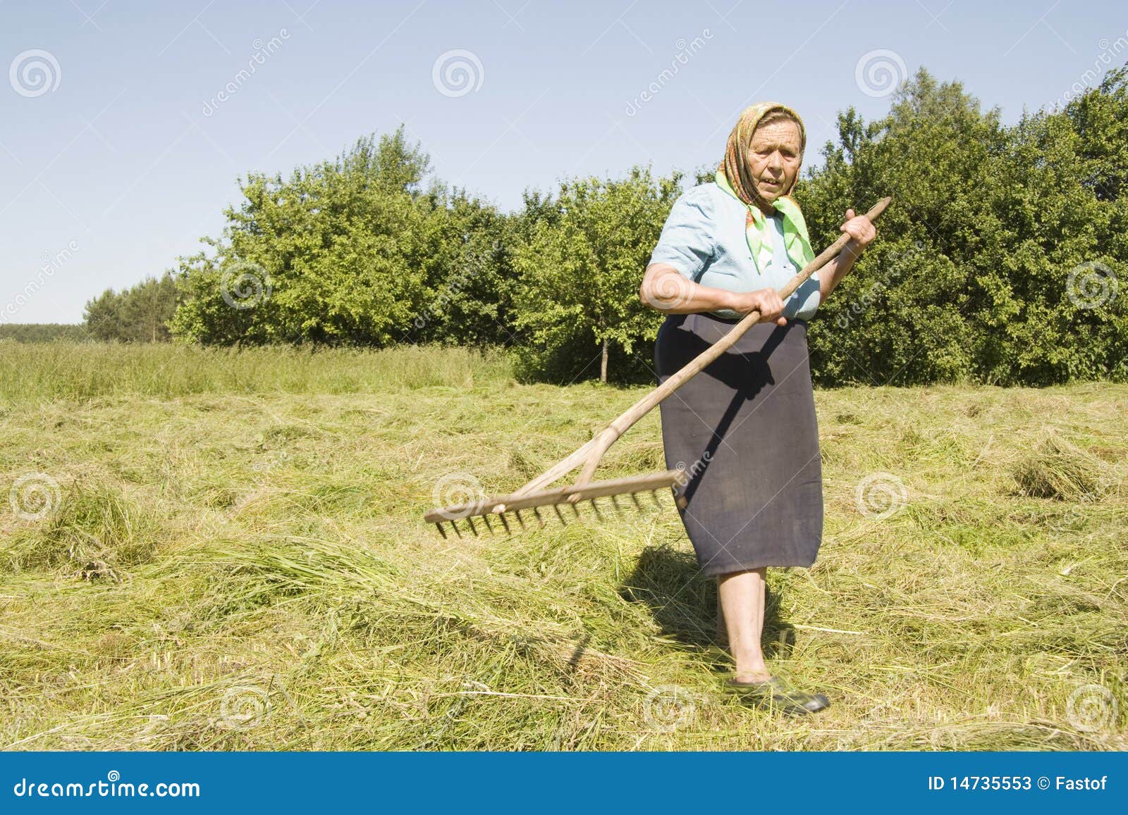 De oude vrouw met een hark stock afbeelding. Image of insecten - 14735553