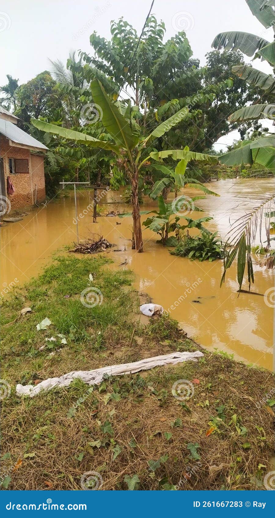 De Overstroming Was Zo Groot Dat De Rivier Overstroomde Stock ...