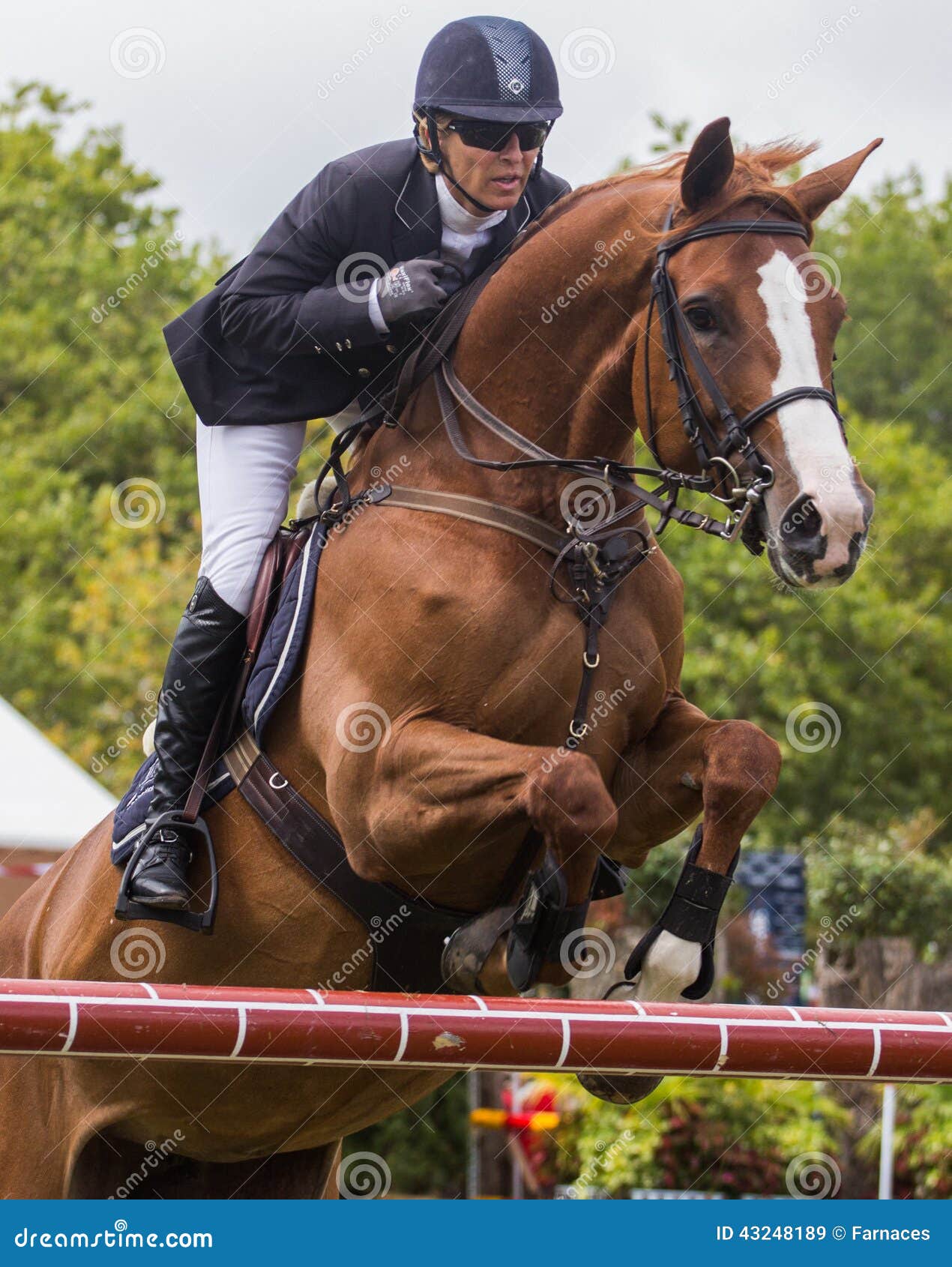 De Paard Springende Concurrentie Redactionele Stock Afbeelding - Image ...