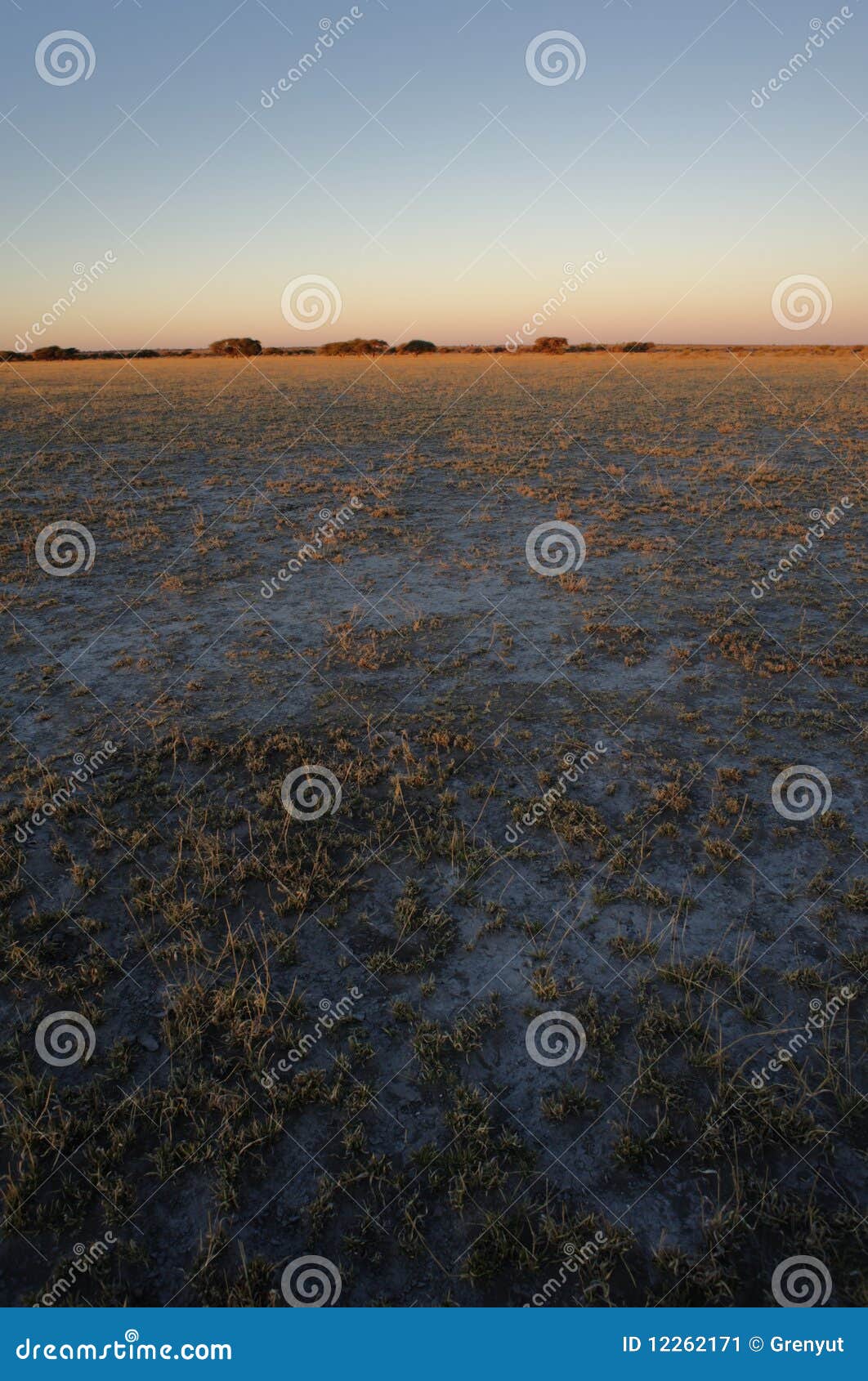 De Pan Van De Teleurstelling, Kalahari Stock Afbeelding - Image of ...