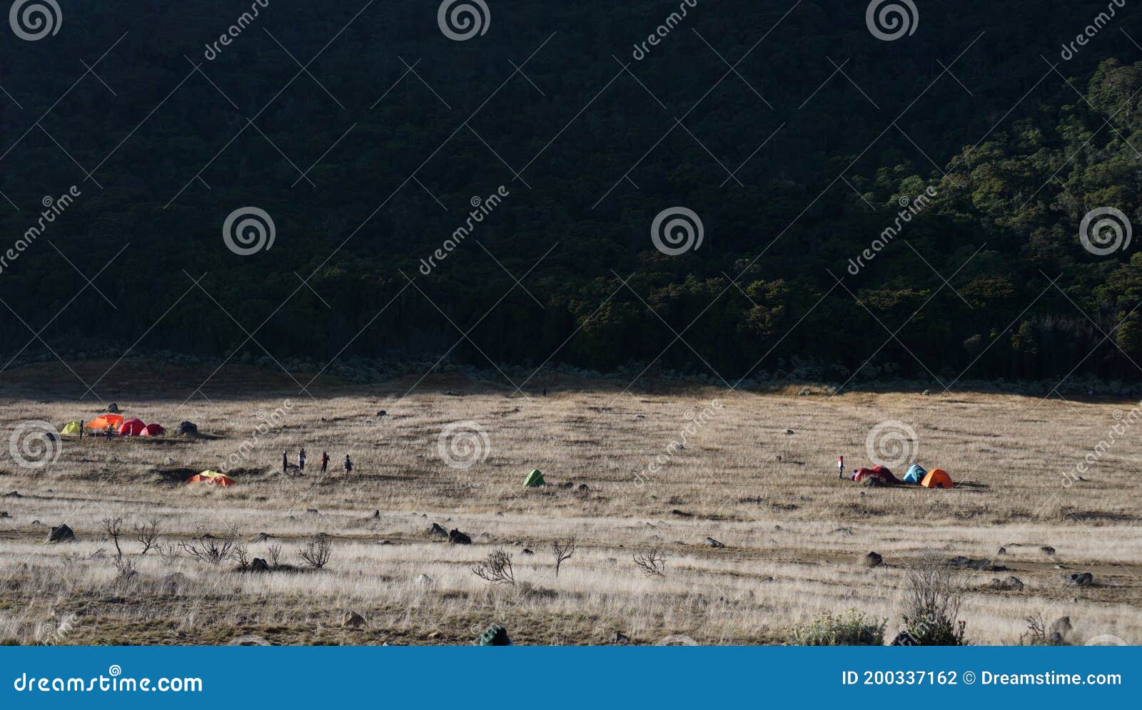 De Pangrango Mountain Gede De Gunung De Kencana De Surya Photo stock ...