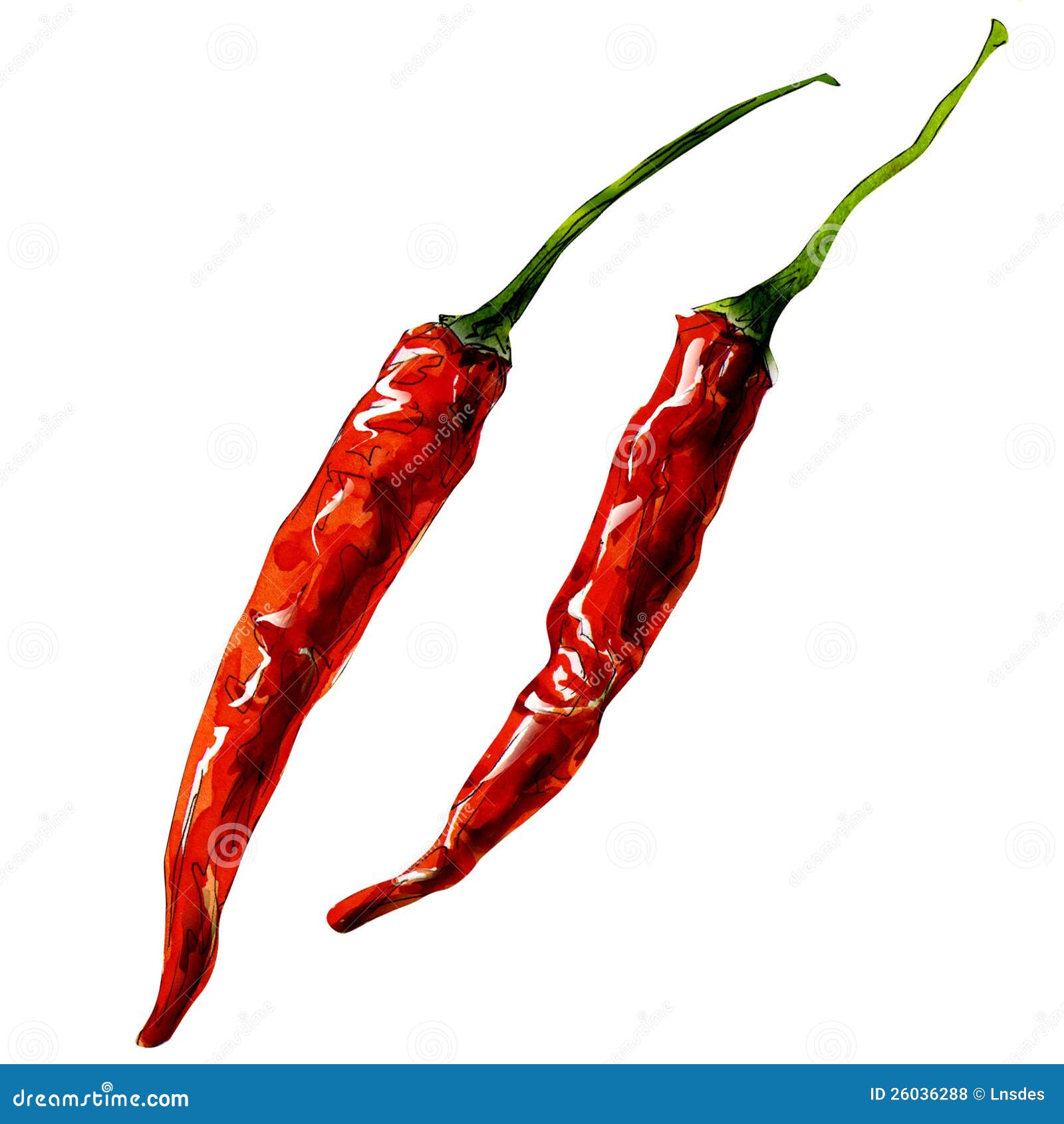 De Peper Van De Spaanse Peper Stock Foto - Image of kleur, smakelijk ...