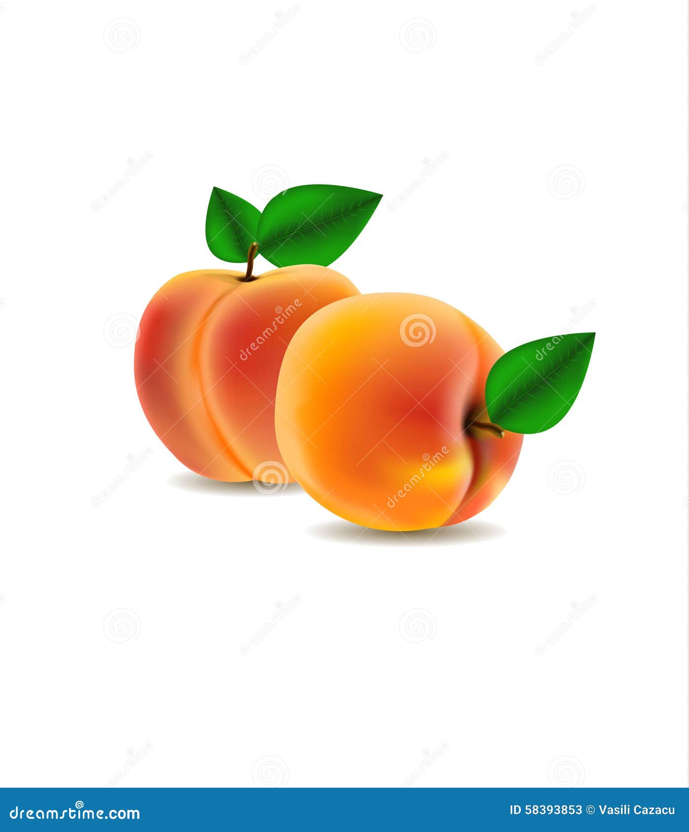 De Perzik vector illustratie. Illustration of ronde, gezond - 58393853