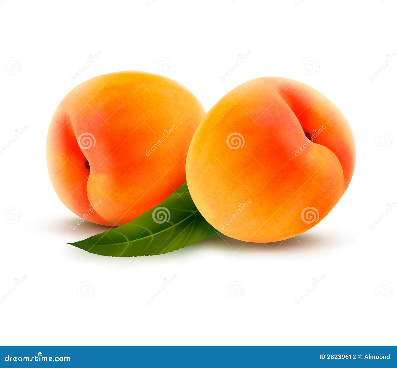 De Perzik Van Rpe Op Wit. Vector Vector Illustratie - Illustration of ...