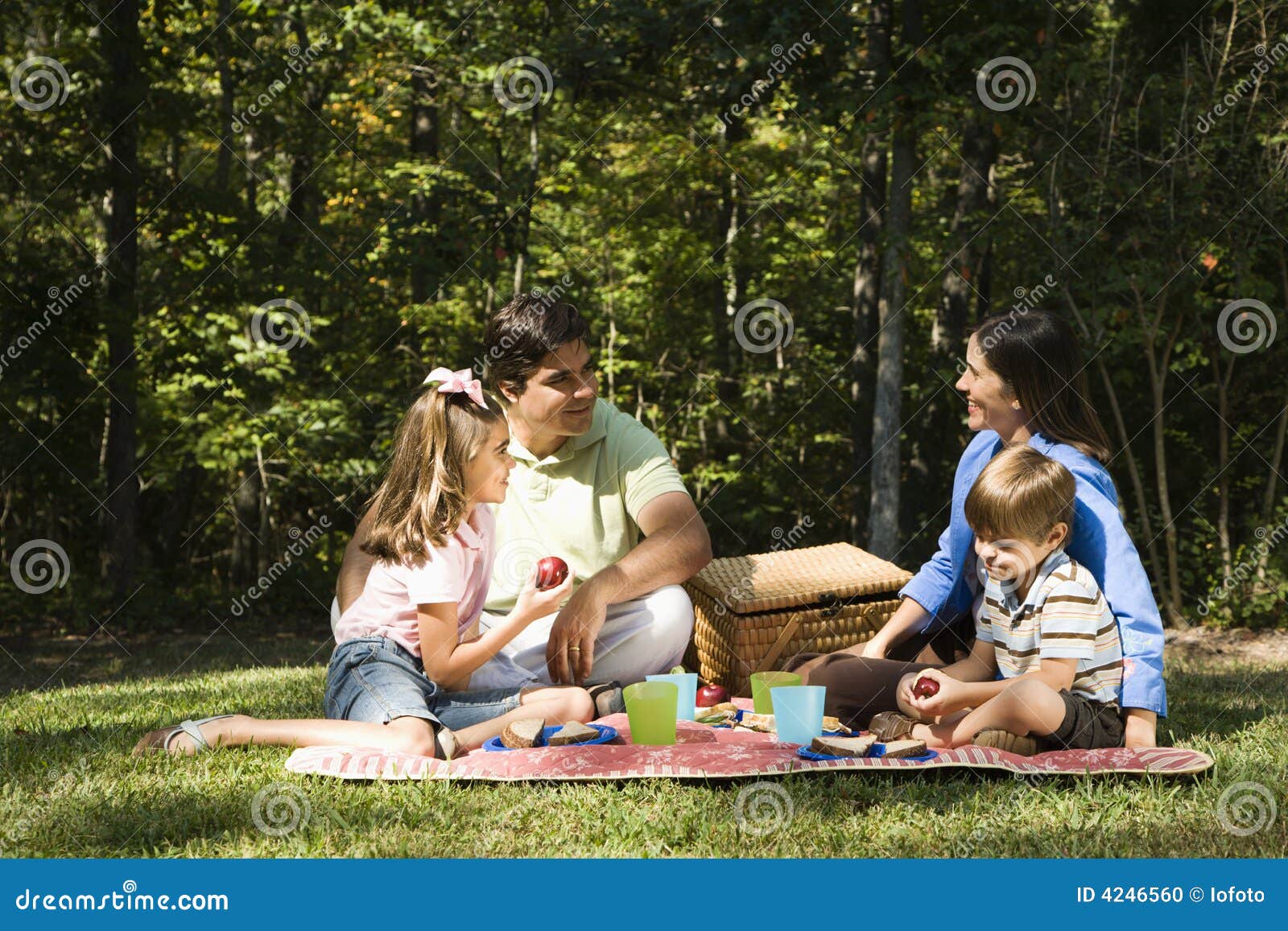 De Picknick Van De Familie. Stock Foto - Image of levensstijl, lengte ...