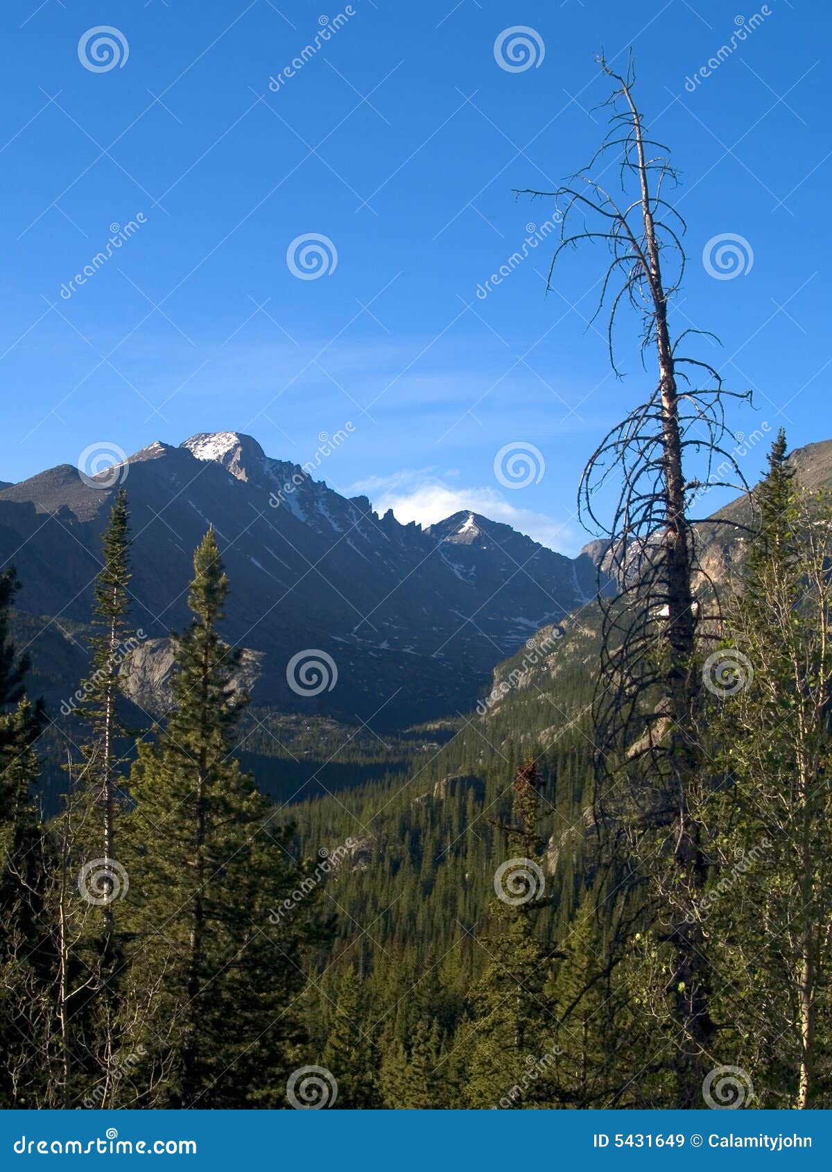 De Piek En De Boom Van Longs Stock Afbeelding - Image of piek, berg ...
