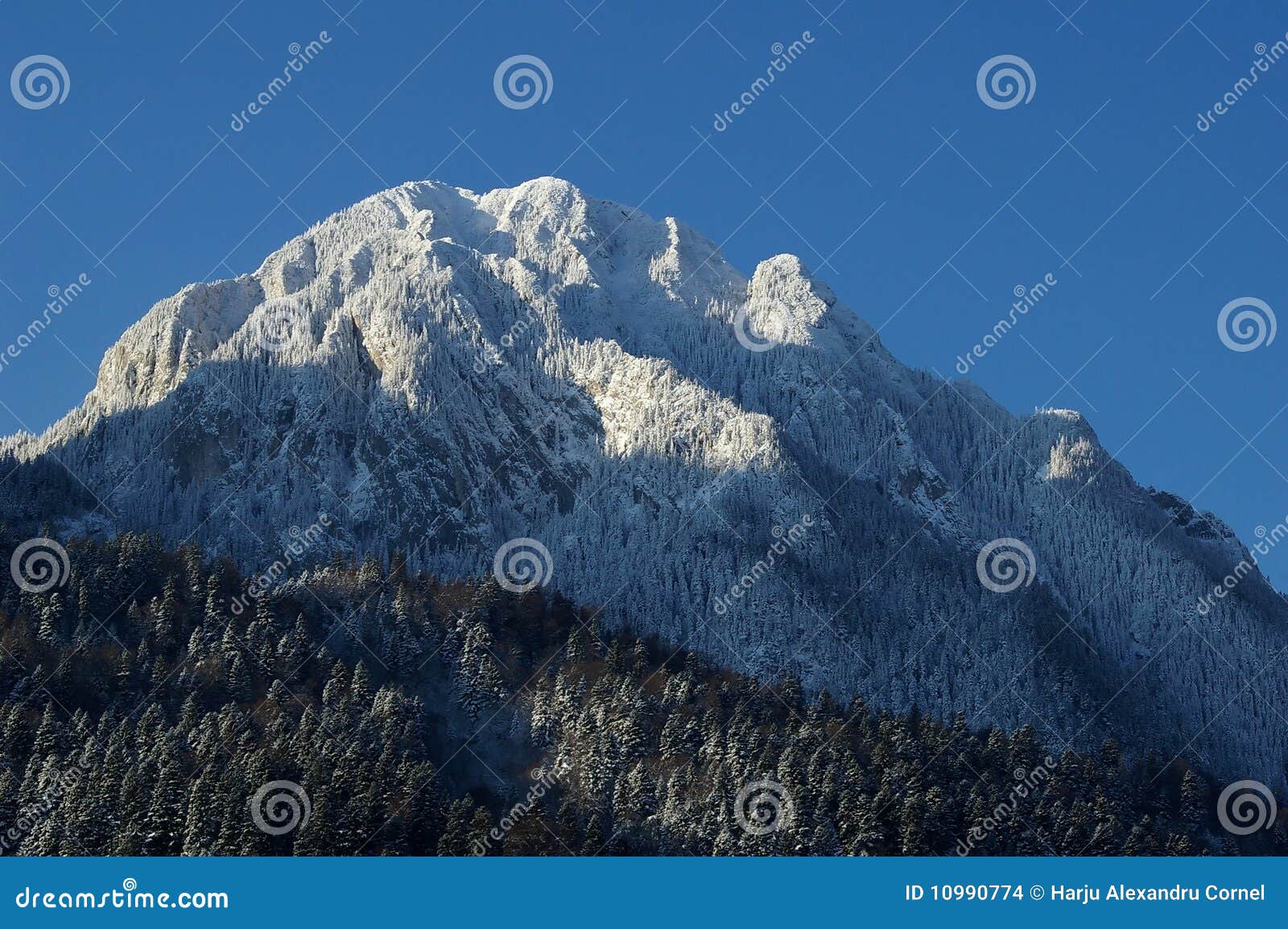 De piek van de berg stock foto. Image of park, wolk, spar - 10990774