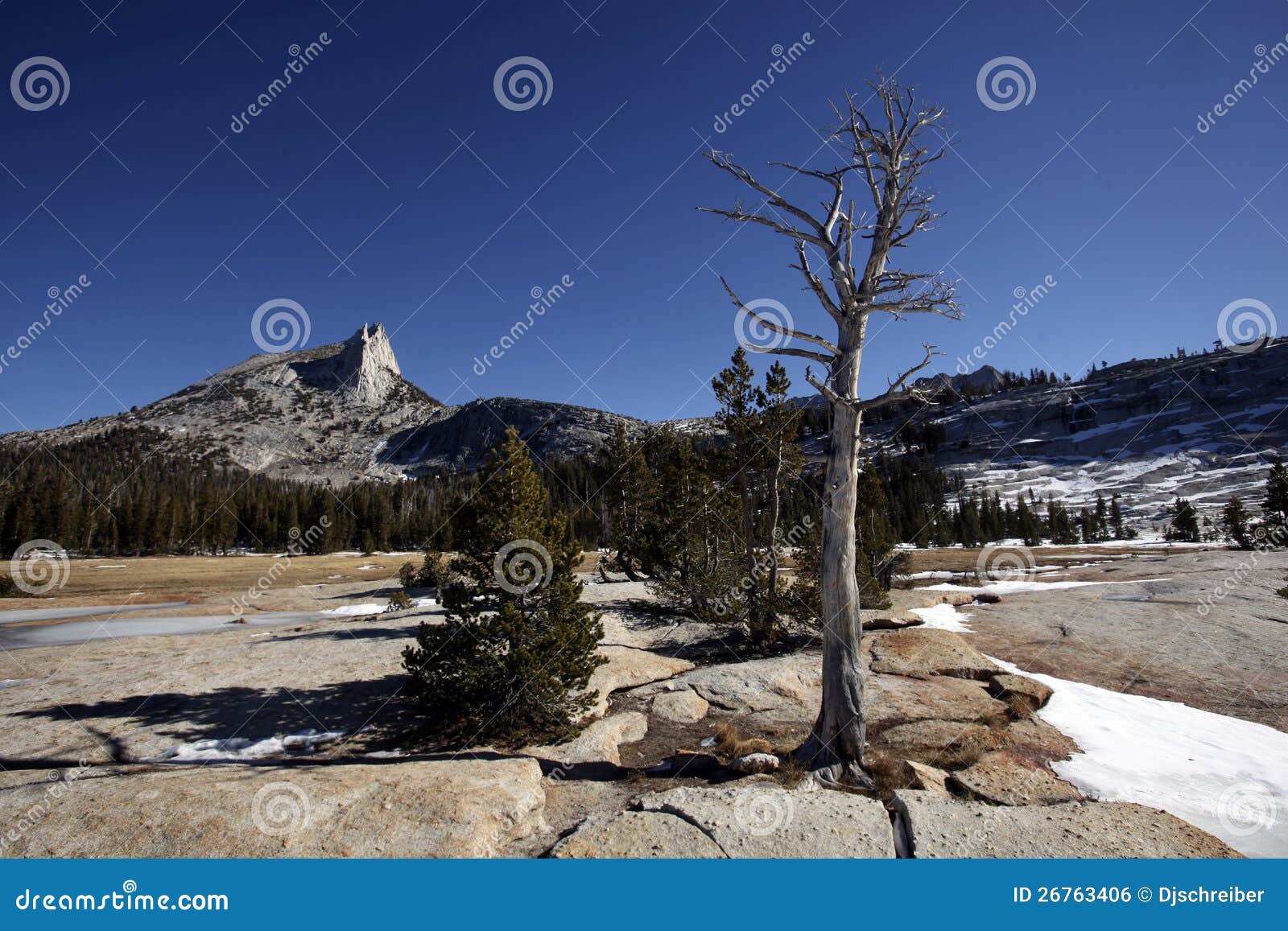 De Piek Van De Kathedraal, Nationaal Park Yosemite Stock Foto - Image ...